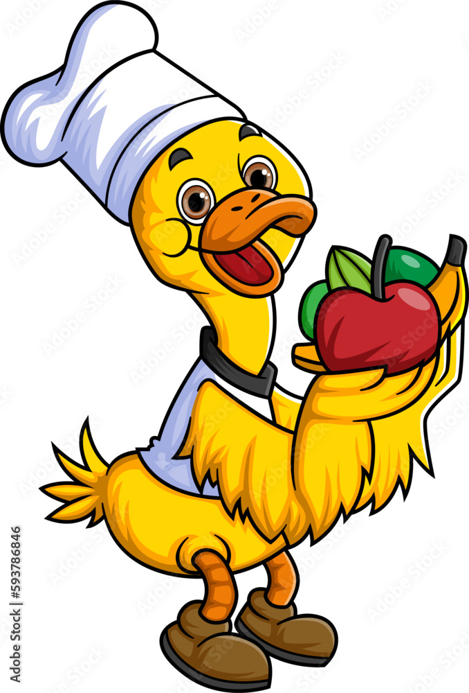 cute duck cartoon character is a professional chef and brings fruits ...