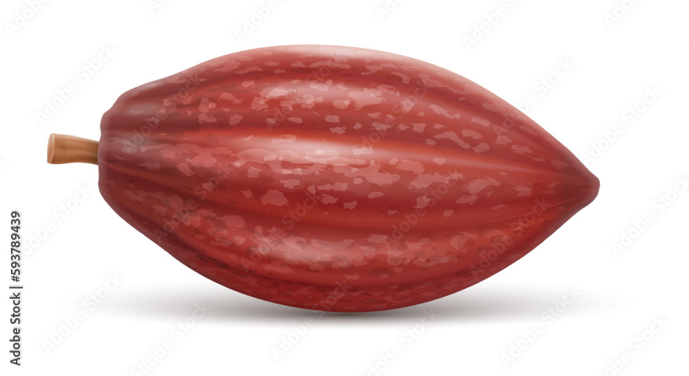 Cocoa pod isolated on white transparent background. Ingredient for ...