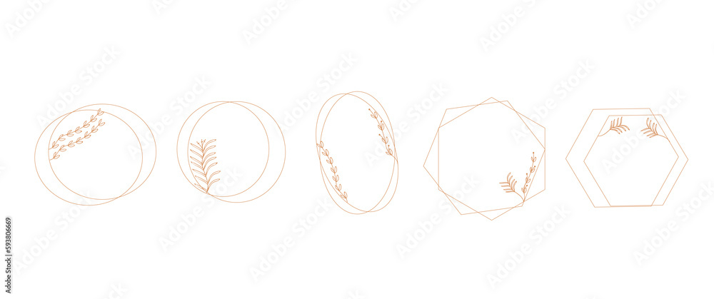 Botanical circle frame. Hand drawn round line border, Elegant minimal ...