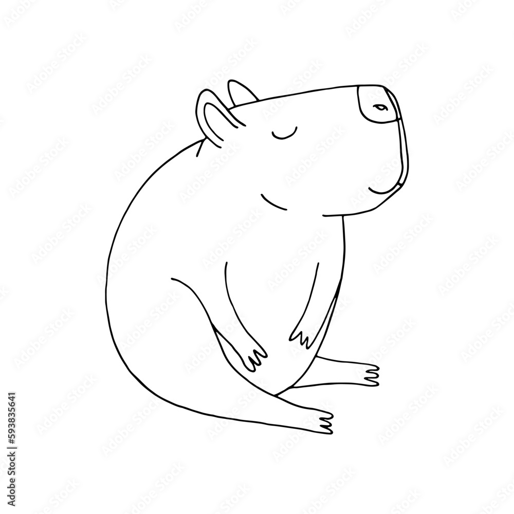 capybara hand drawn in doodle style. cute animal in a simple line ...