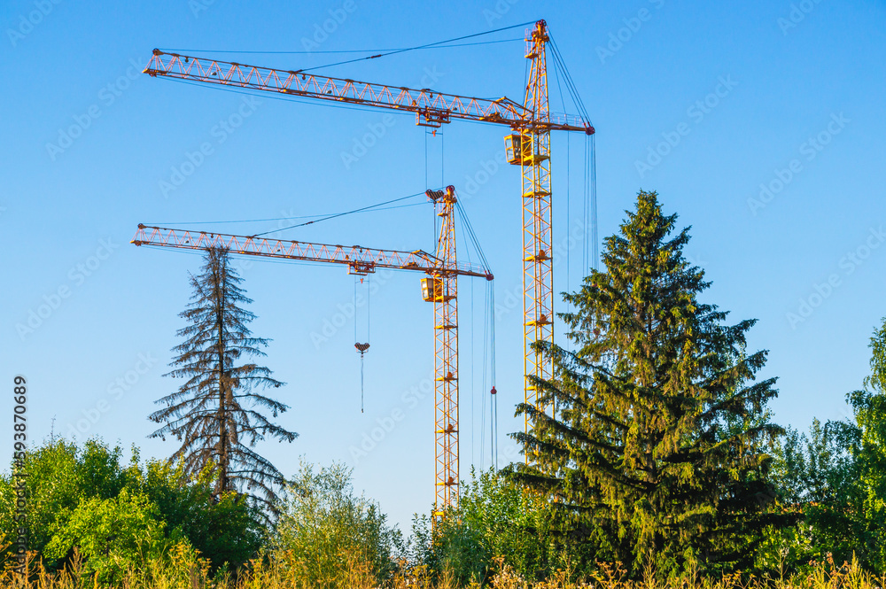 High-rise tower cranes that build houses can be seen behind the trees ...