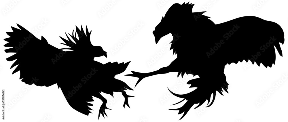 rooster fight Stock Vector | Adobe Stock