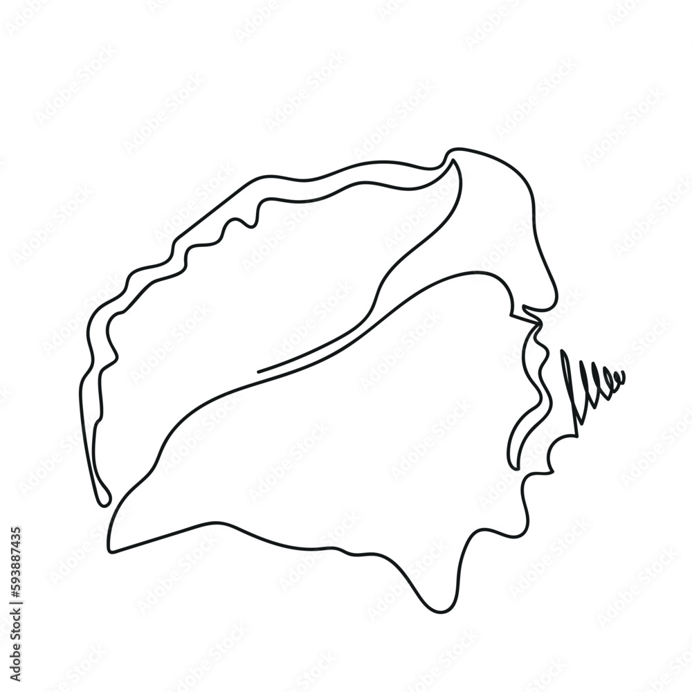 One line drawing of a shell. Hand drawn outline marine illustration of ...