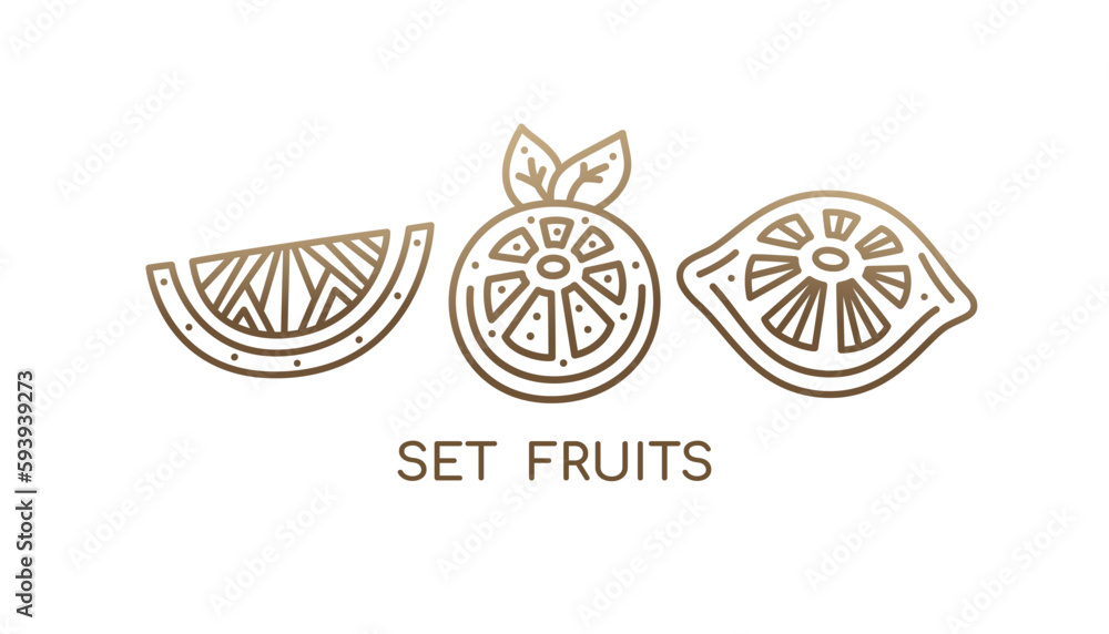 Set icons citrus fruits. logo of lemon, orange, grapefruit sliced ...