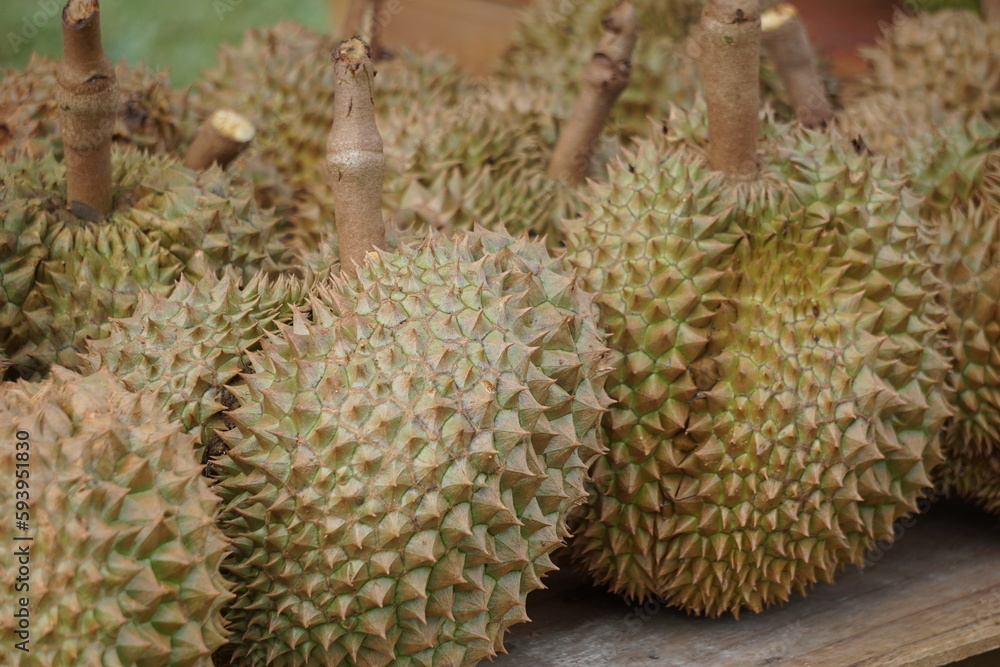 Durian, the king of fruit. Durian is one of the exotic fruit from East ...