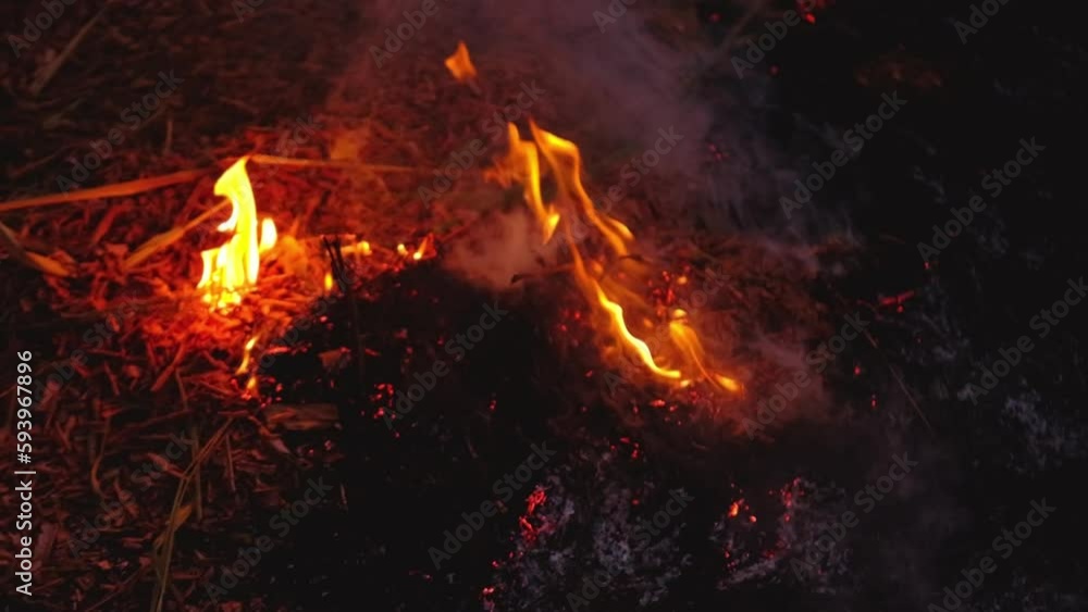 wildfire, rural fire, burning conflagration, burning ash, setting ...