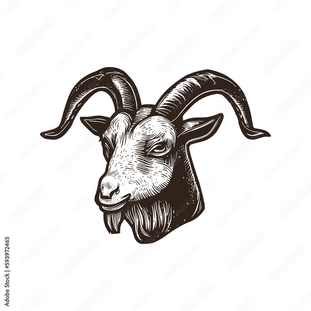 Vintage logo of a goat head. an old-school logo of a sheep's head ...