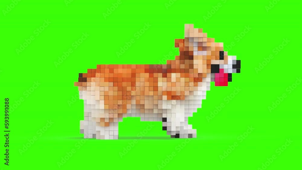 Corgi Puppy Runs Funny on a Green Background, Beautiful Animation in 3D ...