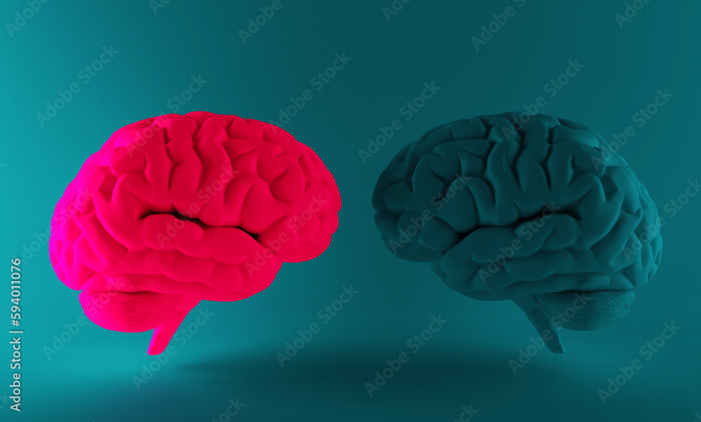 Pink brain and green brain with heart symbol. Male and female brain ...