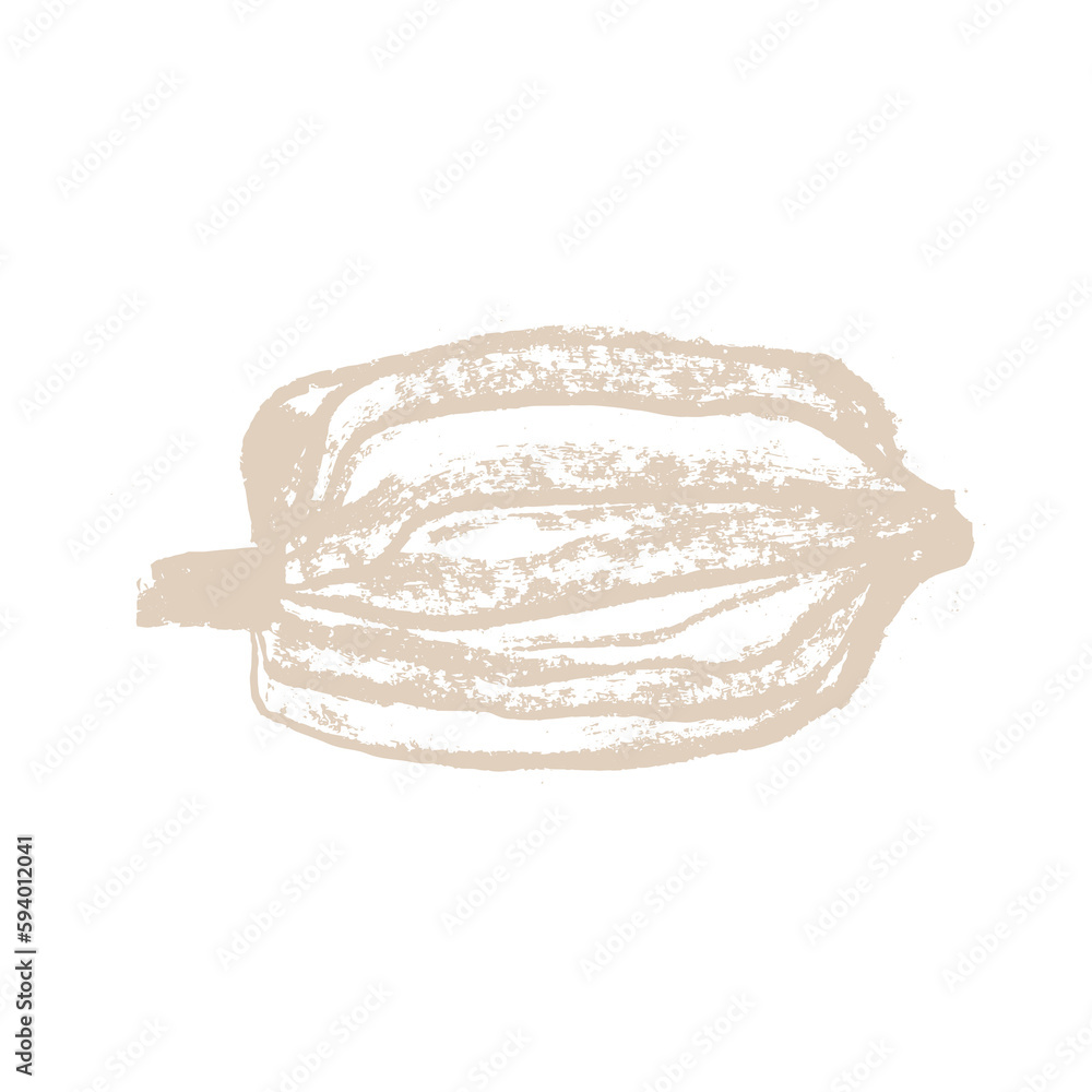 Cocoa bean drawing. Hand drawn sketch Cacao beans. Leaves of Cocoa bean ...