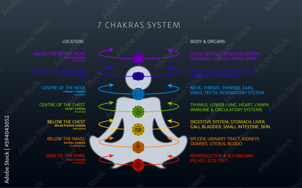 7 chakras system and related body parts, info chart Stock Vector ...