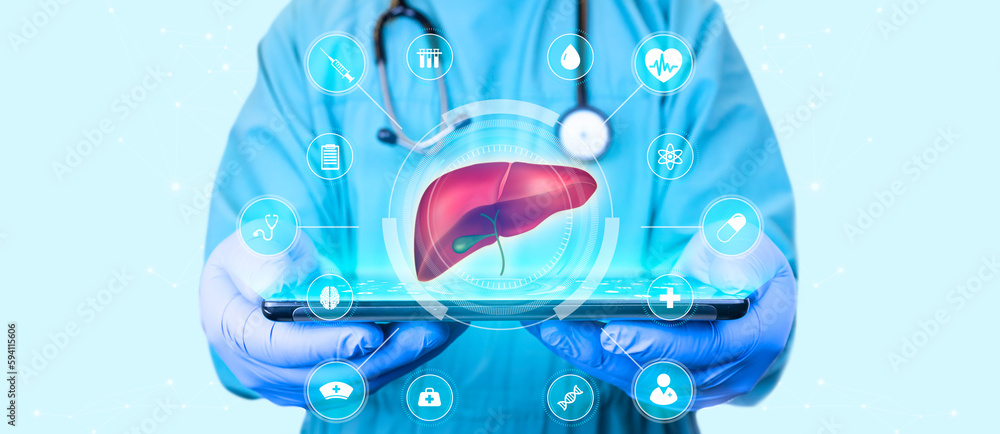 Liver. Hepatologist. human organ Examination for the detection of ...