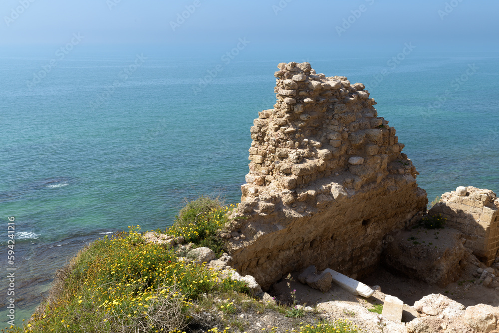 Crusader castle in the ancient town of Apollonia (Tel Arsuf) on ...