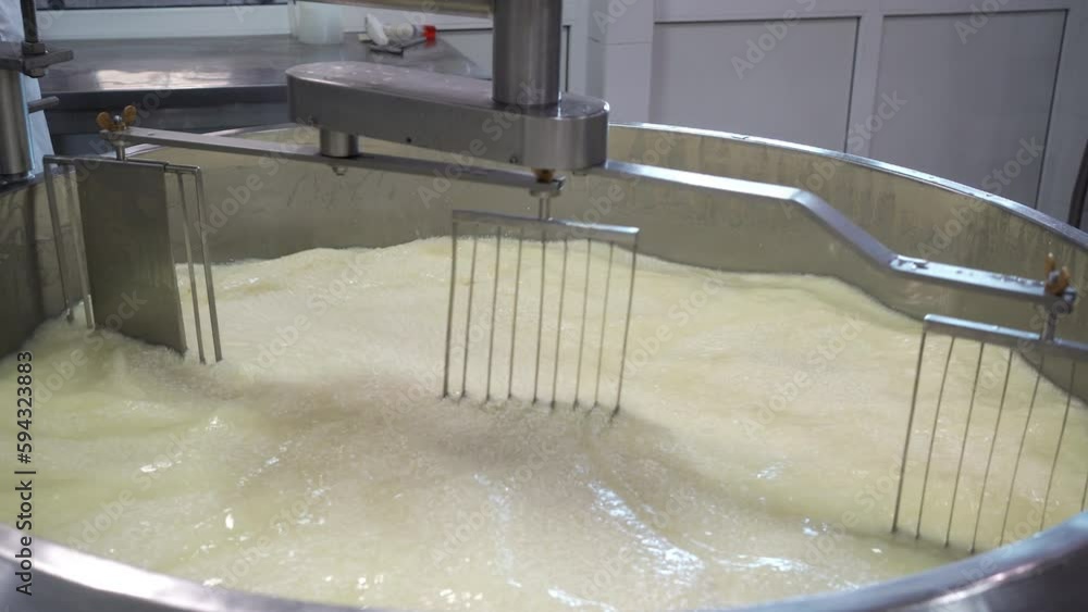 Traditional cheese making in modern technologies. Production of whey ...