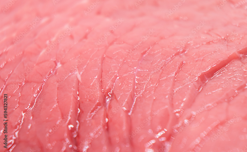 Beef red meat texture background. Fresh beef piece macro shot. Meat ...