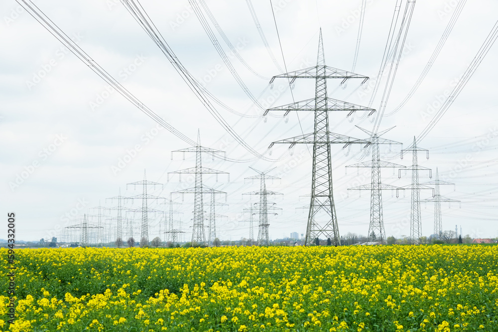 A lot of high-voltage power line, transmission tower overhead line ...