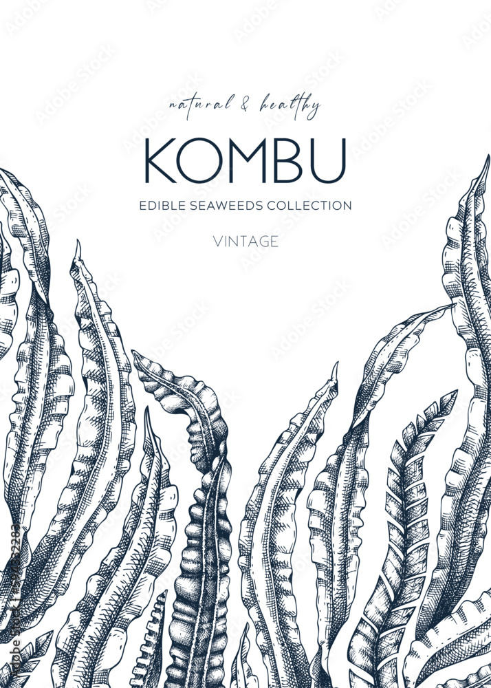 Hand drawn Kombu card design. Laminaria botanical frame. Edible seaweed ...