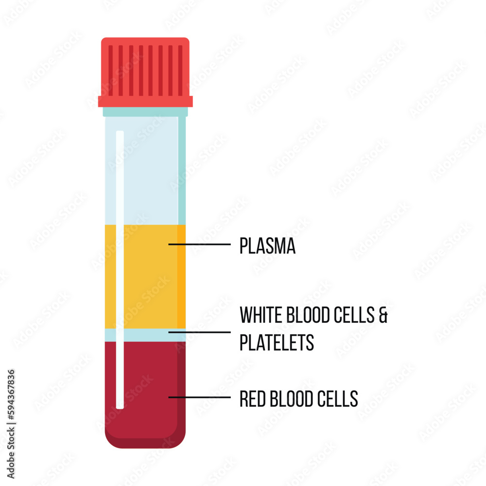 The Composition of Blood poster. Red blood cells, white blood cells ...