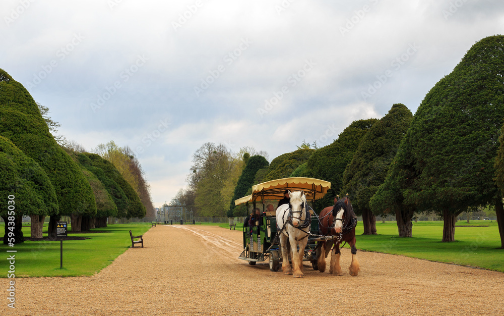Foto Stock Two Shire Horses pulling a carriage along a long gravel path ... Foto Stock Two Shire Horses pulling a carriage along a long gravel path ...