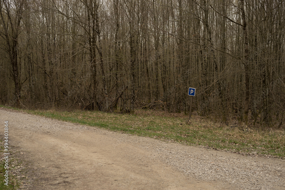 Forest parking lot with blue traffic sign with inscription capital P on ...