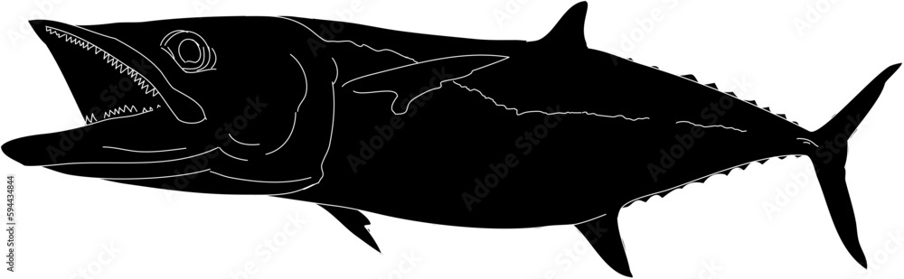 Kingfish in action, hand drawn and colored in silhouette Stock Vector ...