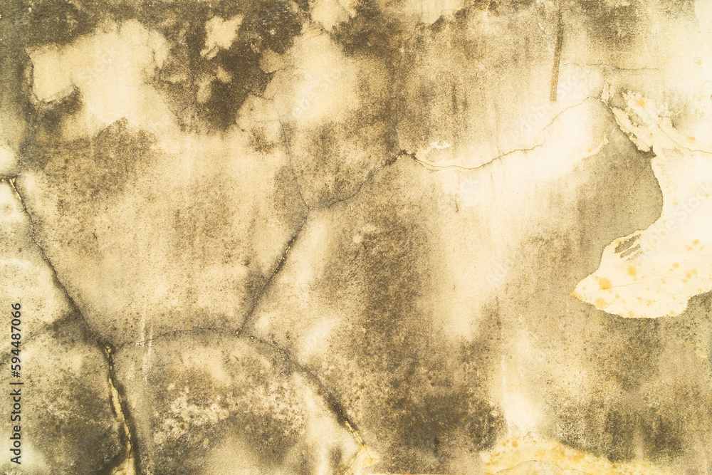Old plaster walls and deteriorated wall paint. The color of the walls ...
