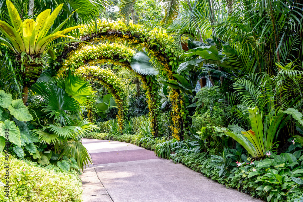 Archways over a walkway at the Singapore Botanical Garden Stock Photo ...