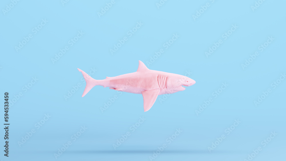 Pink Shark Great White Shark Jaws Teeth Predator Hunter Killer Man ...