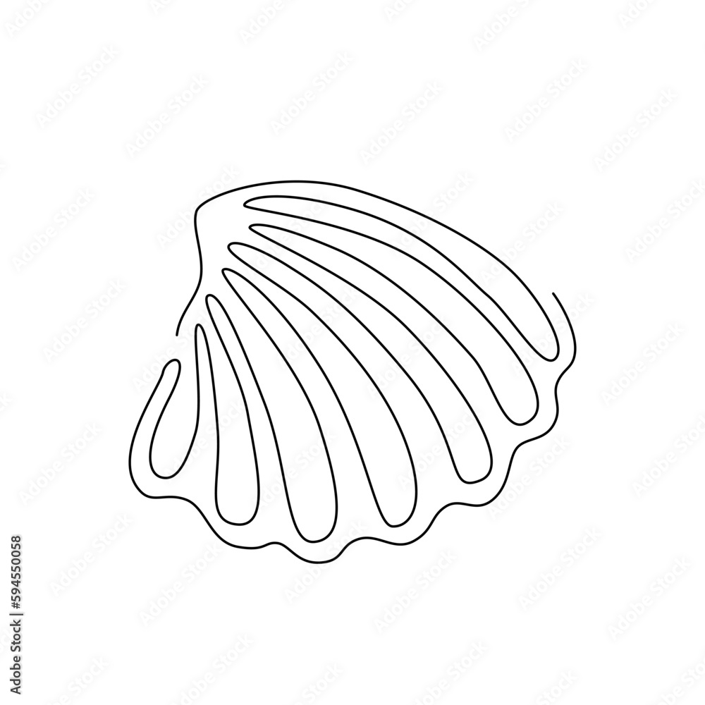 SHELL LINE ART. Vector seashell. Continuous Line Drawing Vector for ...