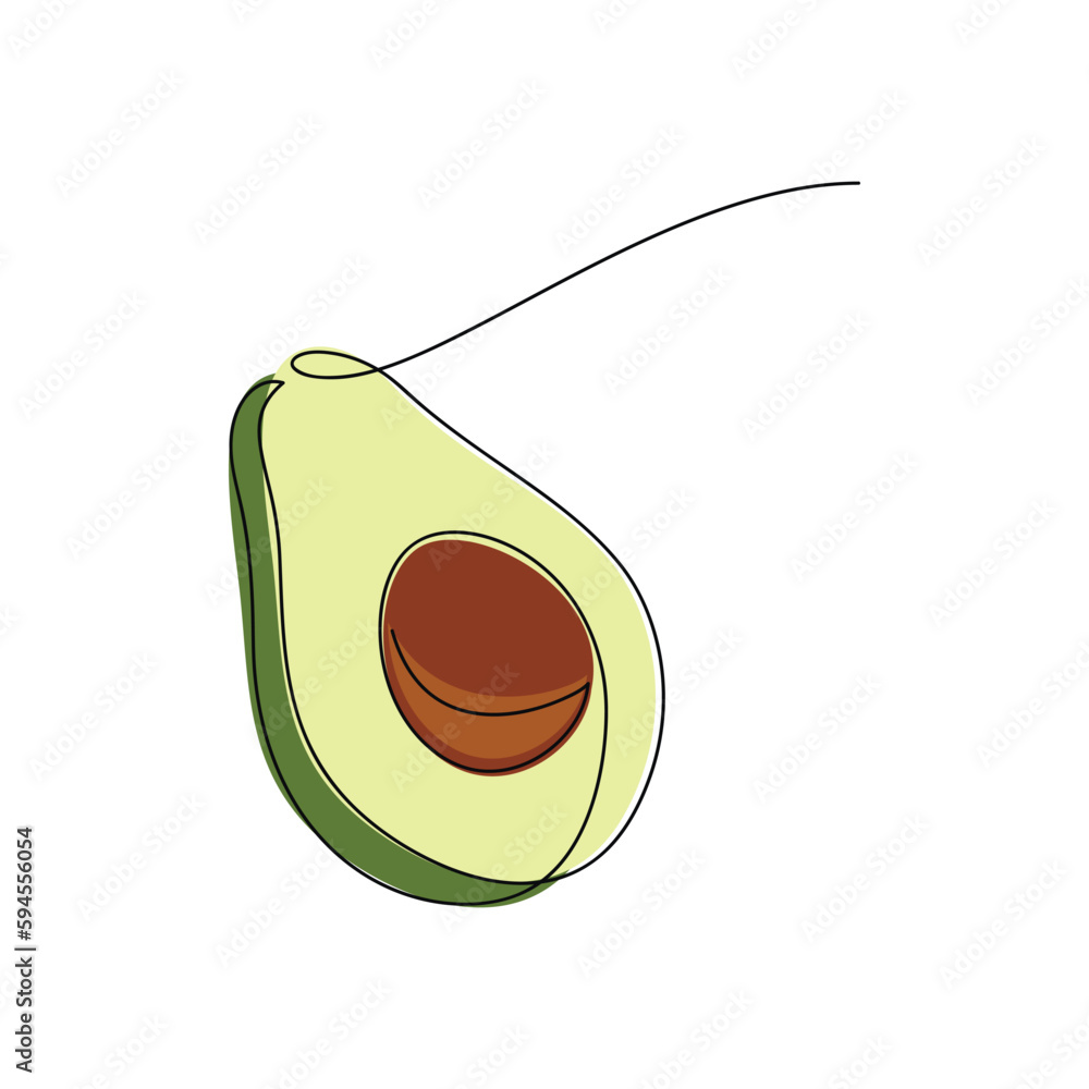 Cut avocado vector. Line continuous hand drawn illustration. Fruit and ...