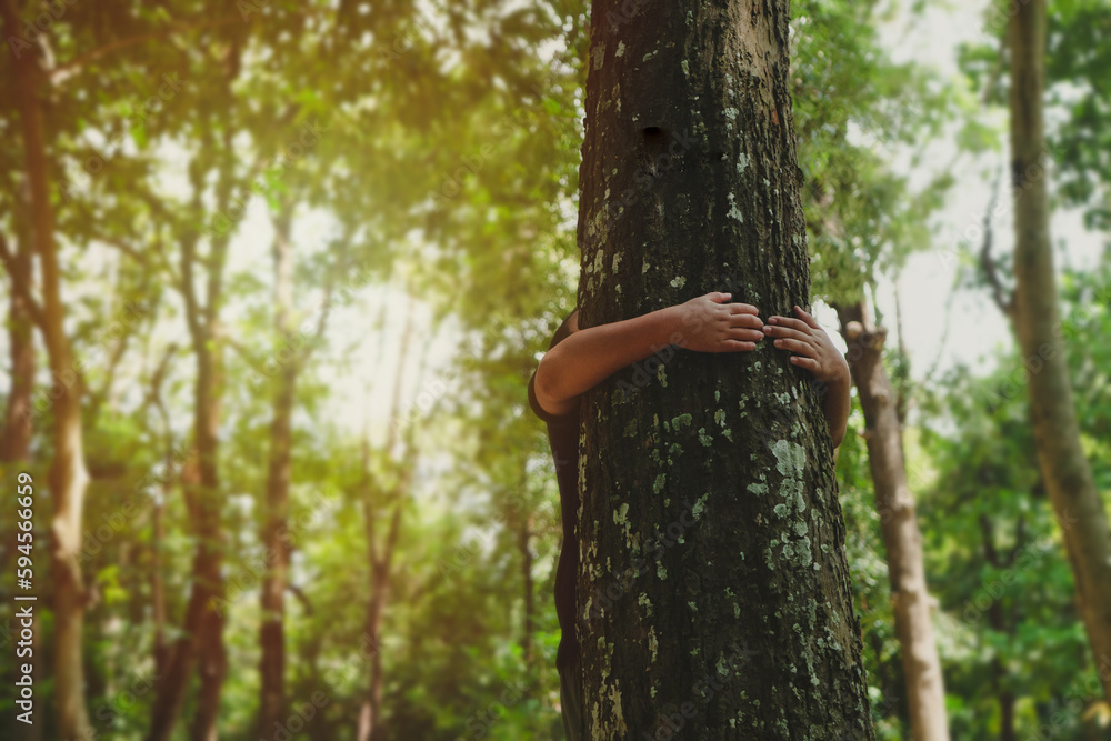 Child hug the trunk tree with green musk in tropical woods forest ...