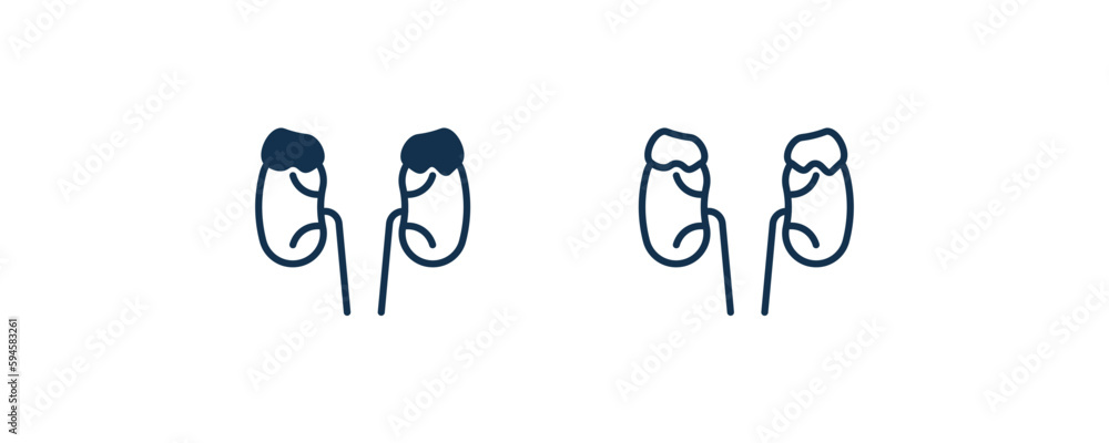 adrenal gland icon. Outline and filled adrenal gland icon from medical ...