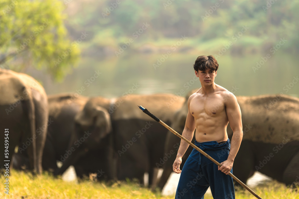 Young handsome shirtless Elephant Mahout with elephant herds in ...