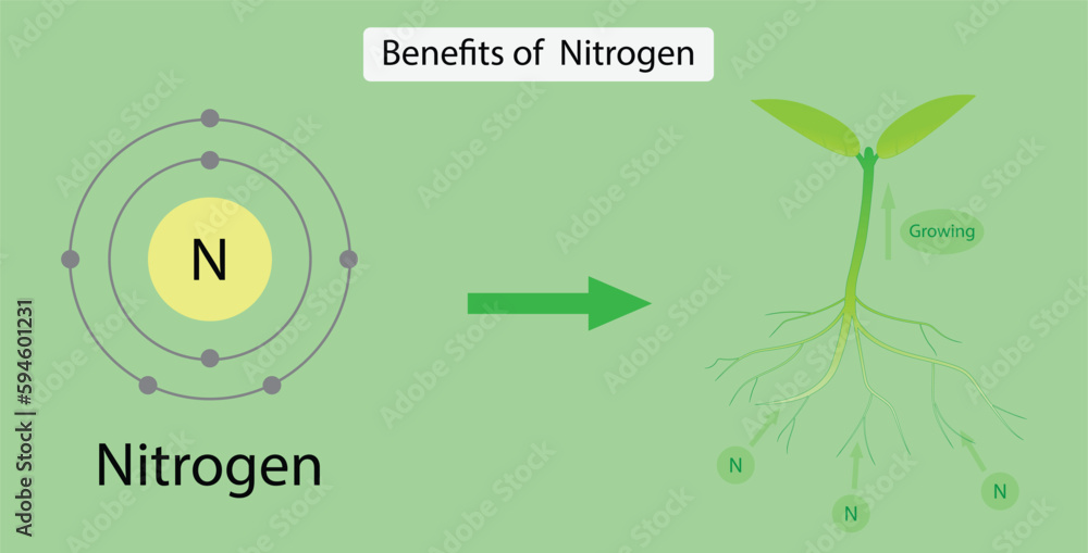 illustration of chemistry, Benefits of Nitrogen, Nitrogen is so vital ...