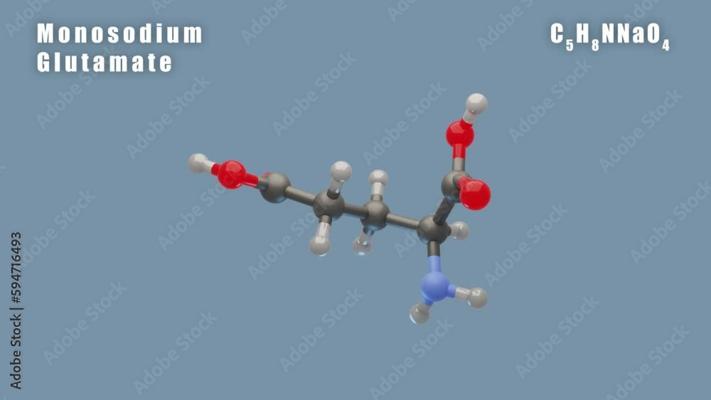 Monosodium Glutamate of C5H8NNaO4 3D Conformer animated render. Food ...
