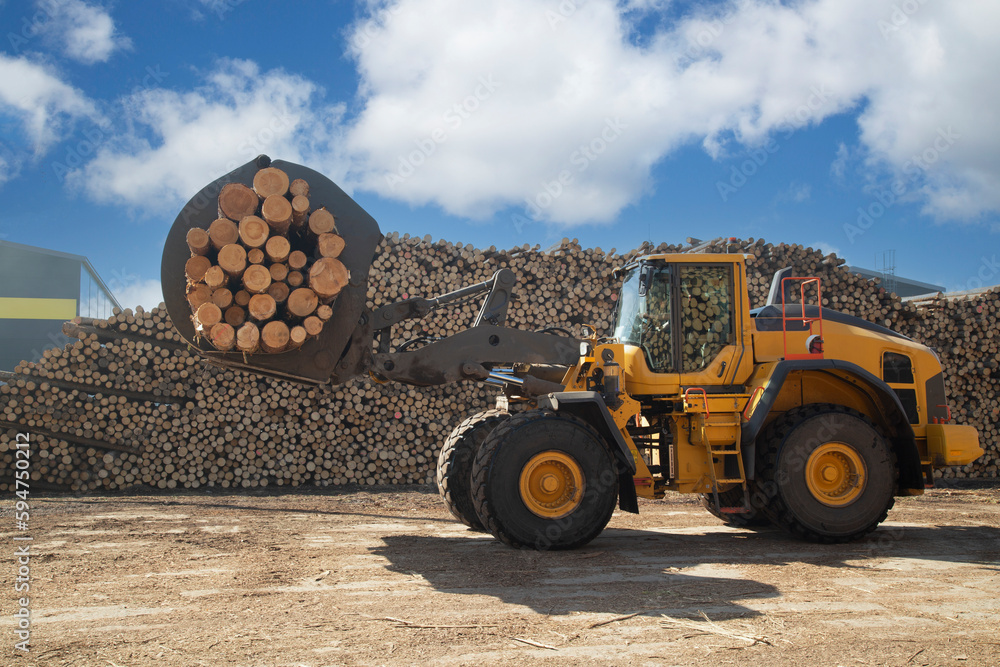 Loading logs with a special loader.Timber products warehouse on a ...