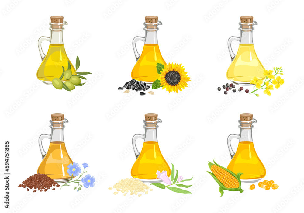 Set of different cooking oils in glass bottles, seeds and plants ...