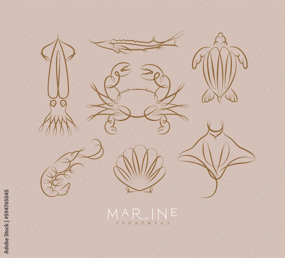 Filigree swirl sea and ocean creatures squid, fish, crab, turtle ...