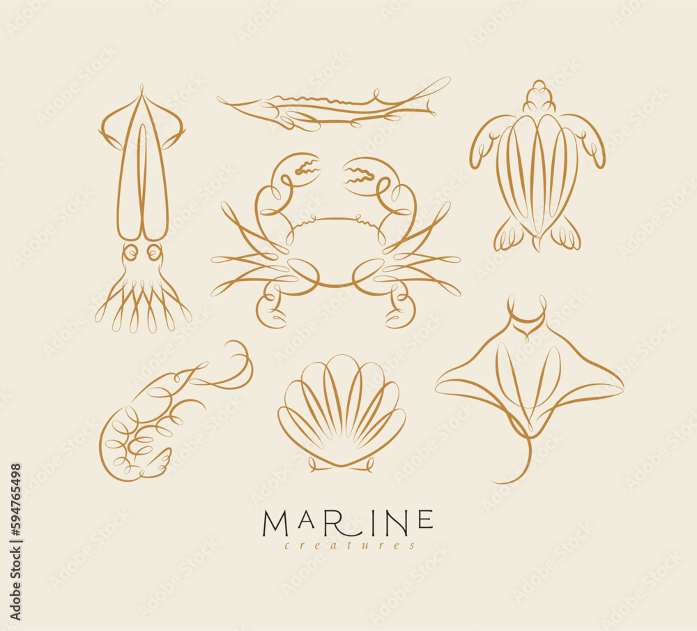 Filigree swirl sea and ocean creatures squid, fish, crab, turtle ...