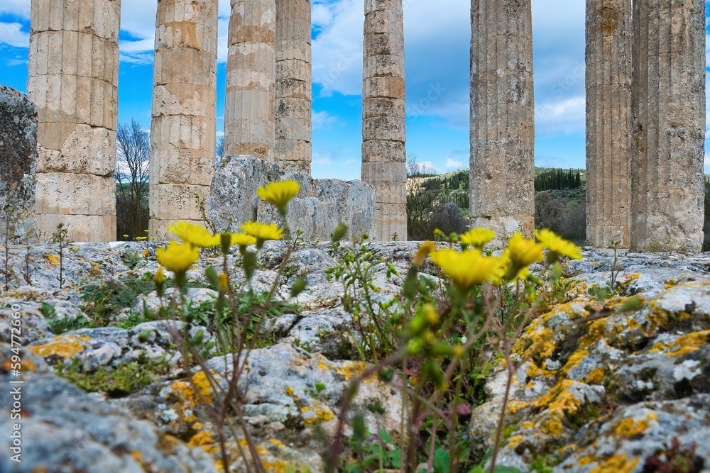 Sacred temple of Zeus in ancient Nemea, Greece. Archaeological Museum ...
