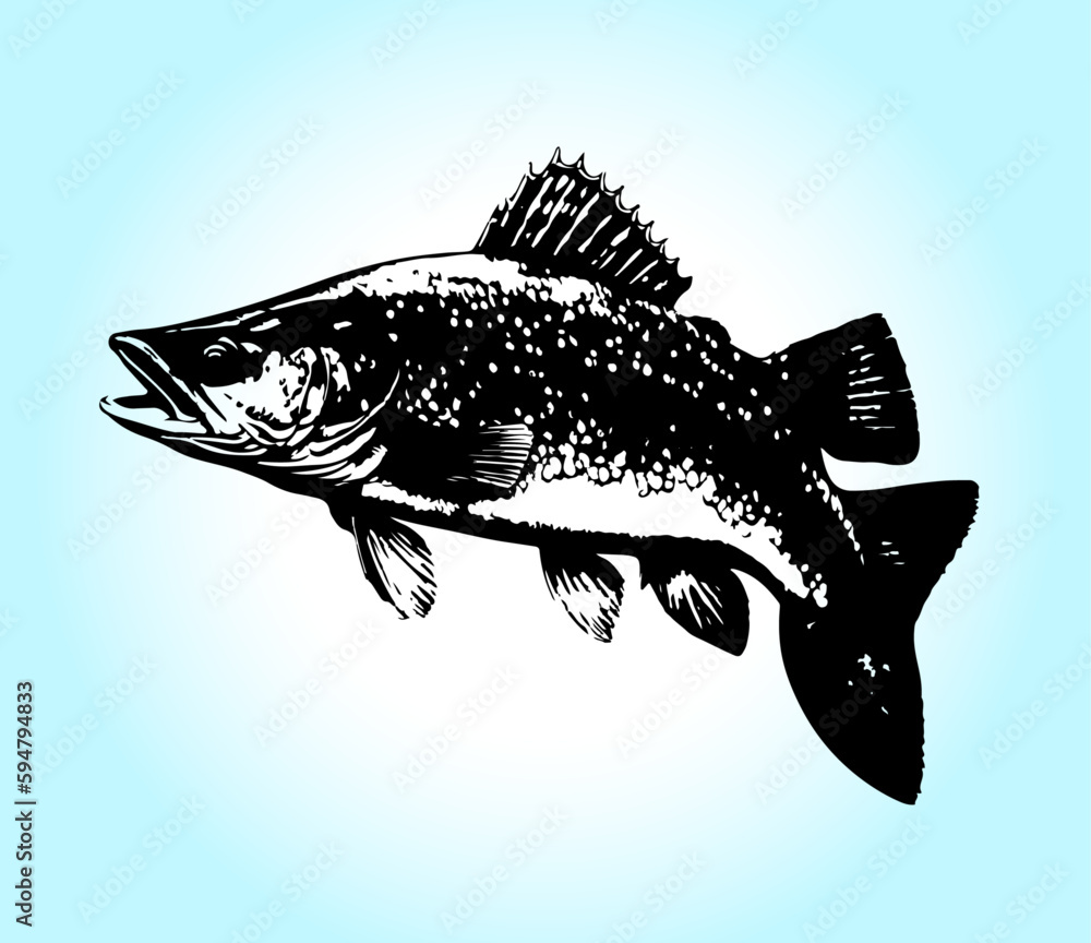 Fisch Silhouette Symbol Vektor Hecht Stock Vector | Adobe Stock
