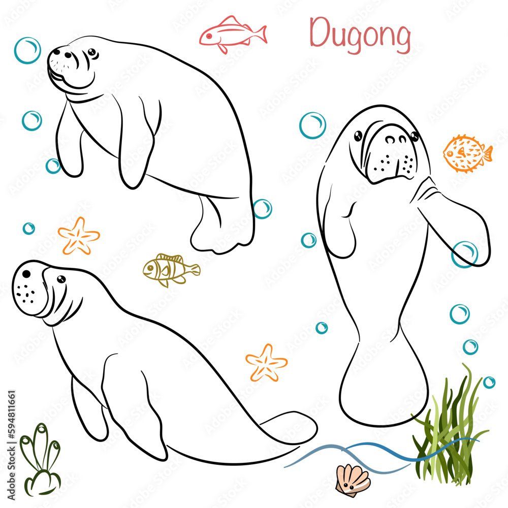 Vetor de Cute Dugong Doodle Collection in Different Poses in Free Hand ...