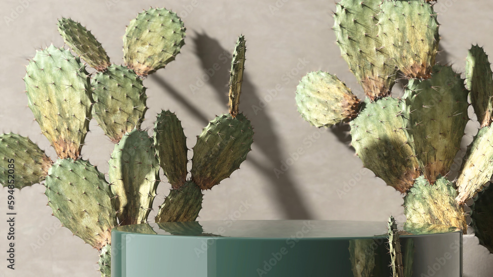 Modern emerald green round podium table, bunny ears cactus in sunlight ...