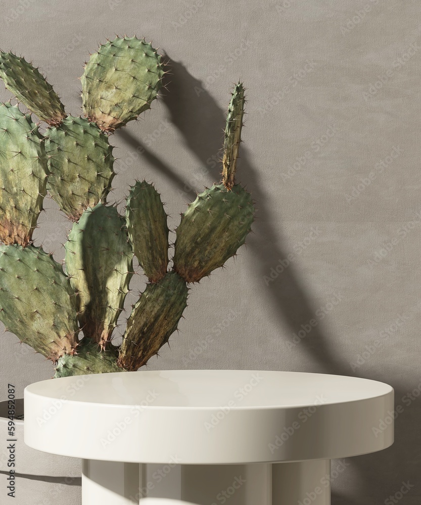 Modern white round podium table, bunny ears cactus in sunlight, shadow ...