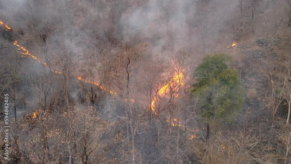 Climate change, Wildfires release carbon dioxide (CO2) emissions and ...