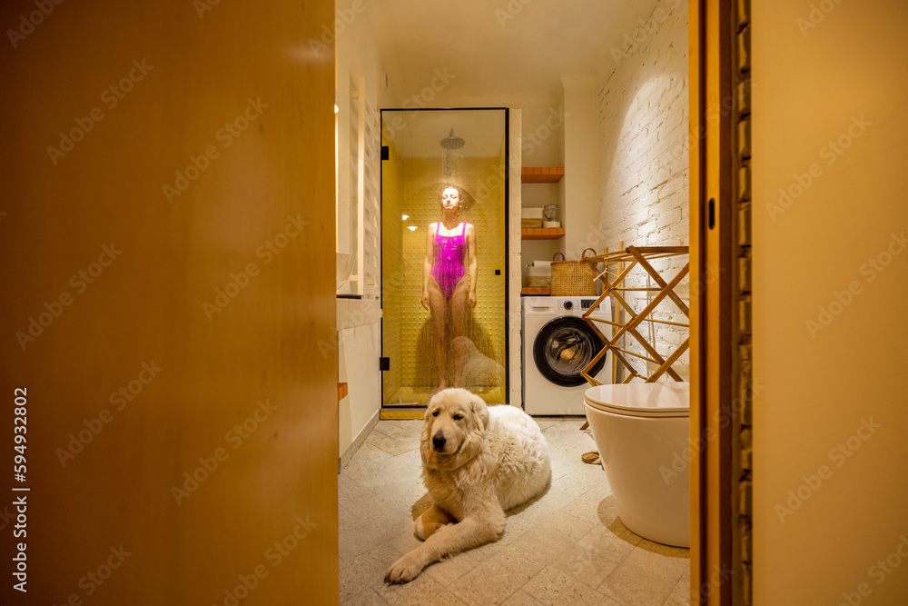 Cute dog lying in bathrrom with a woman taking shower on background ...