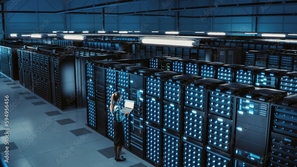 Fotka „3D Computer Graphics: Big Data Center Female Chief Technology ...