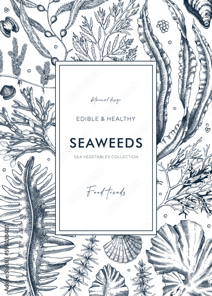 Hand-drawn edible seaweeds frame design. Sea algae in sketch style ...