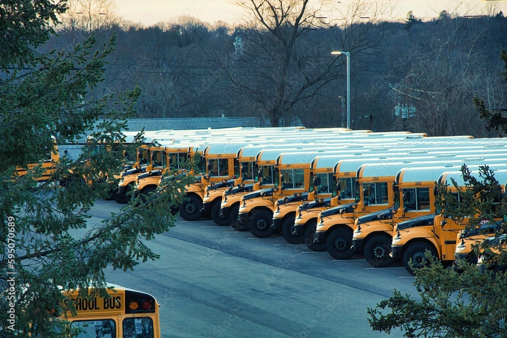 the yellow school buses are parked in rows near each other Stock Photo ...