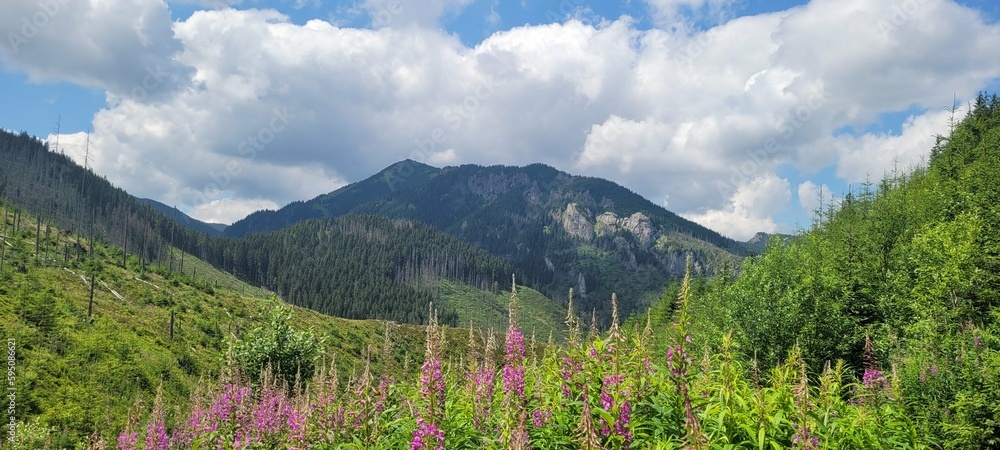 Tatry, Góry, Szlaki w górach Stock Photo | Adobe Stock